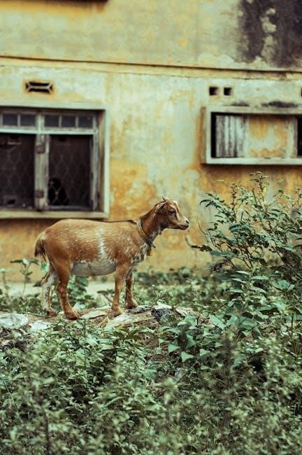 Animal Farm Student Workbook Answer Key PDF | Elastik Studios